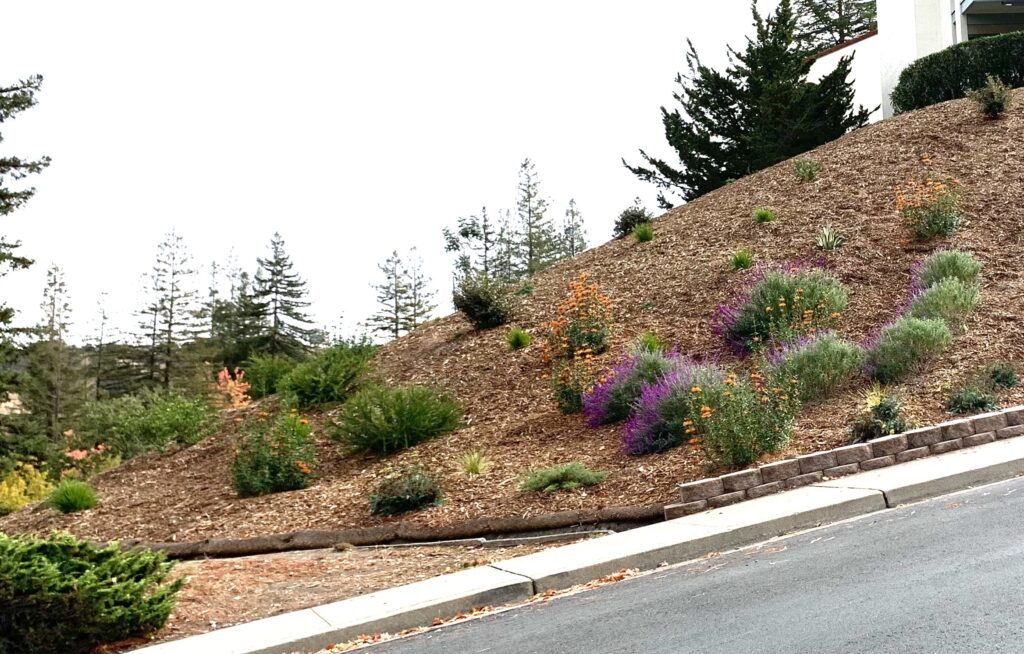 Organic Mulch – Terra Landscape