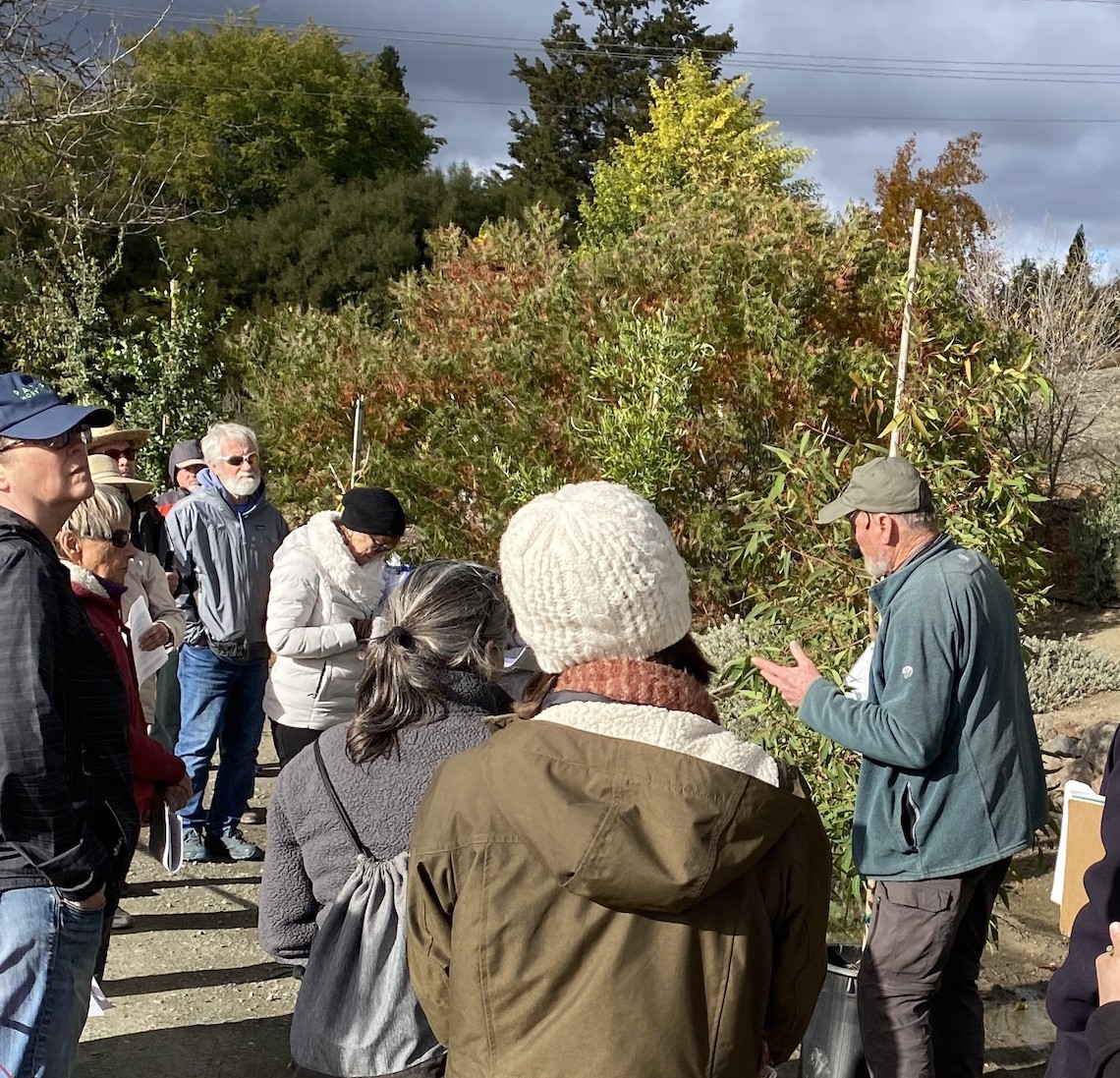 Drought-Adapted Trees – Terra Landscape